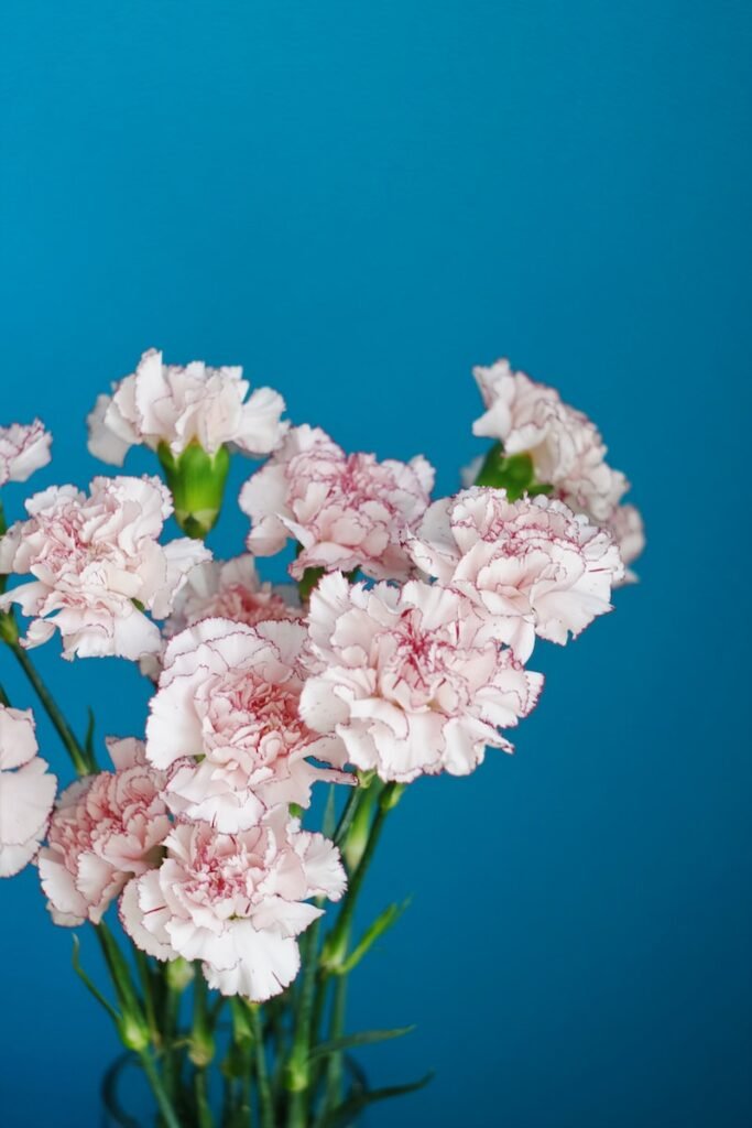 Birth Flower Chart: Birth Flowers by Month & Meaning